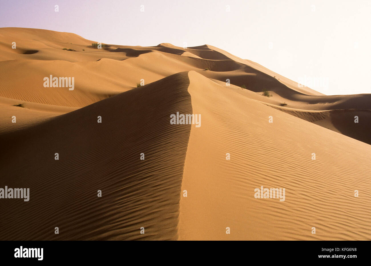 Massive red sand dunes at Saudi Aramco's Shaybah field, a major gas and ...