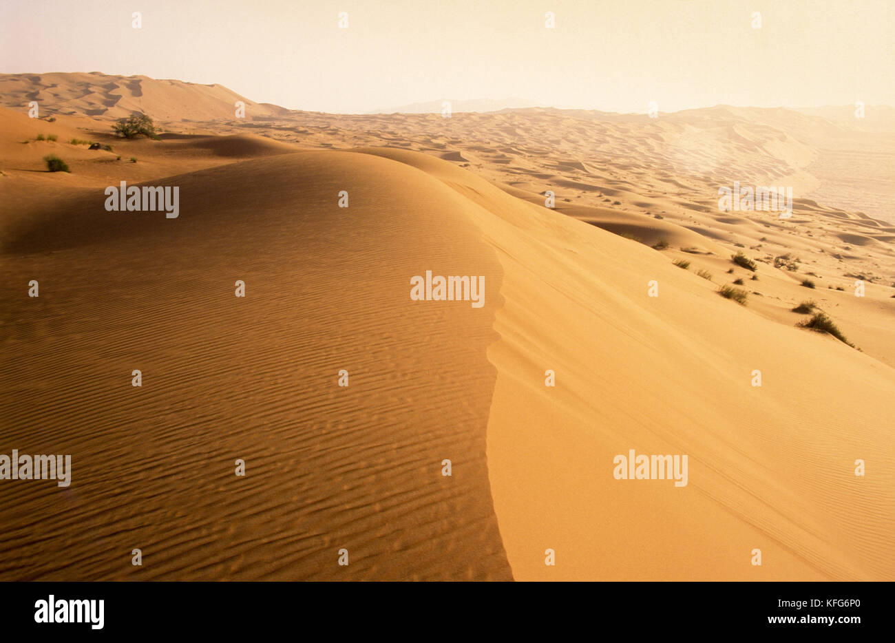 Massive red sand dunes at Saudi Aramco's Shaybah field, a major gas and ...