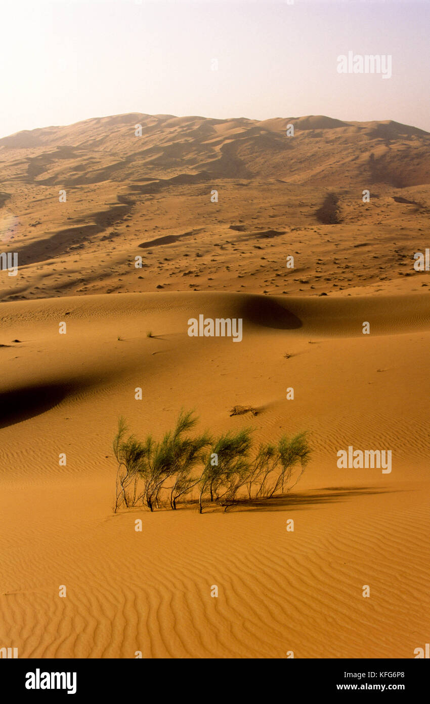 Massive red sand dunes at Saudi Aramco's Shaybah field, a major gas and ...