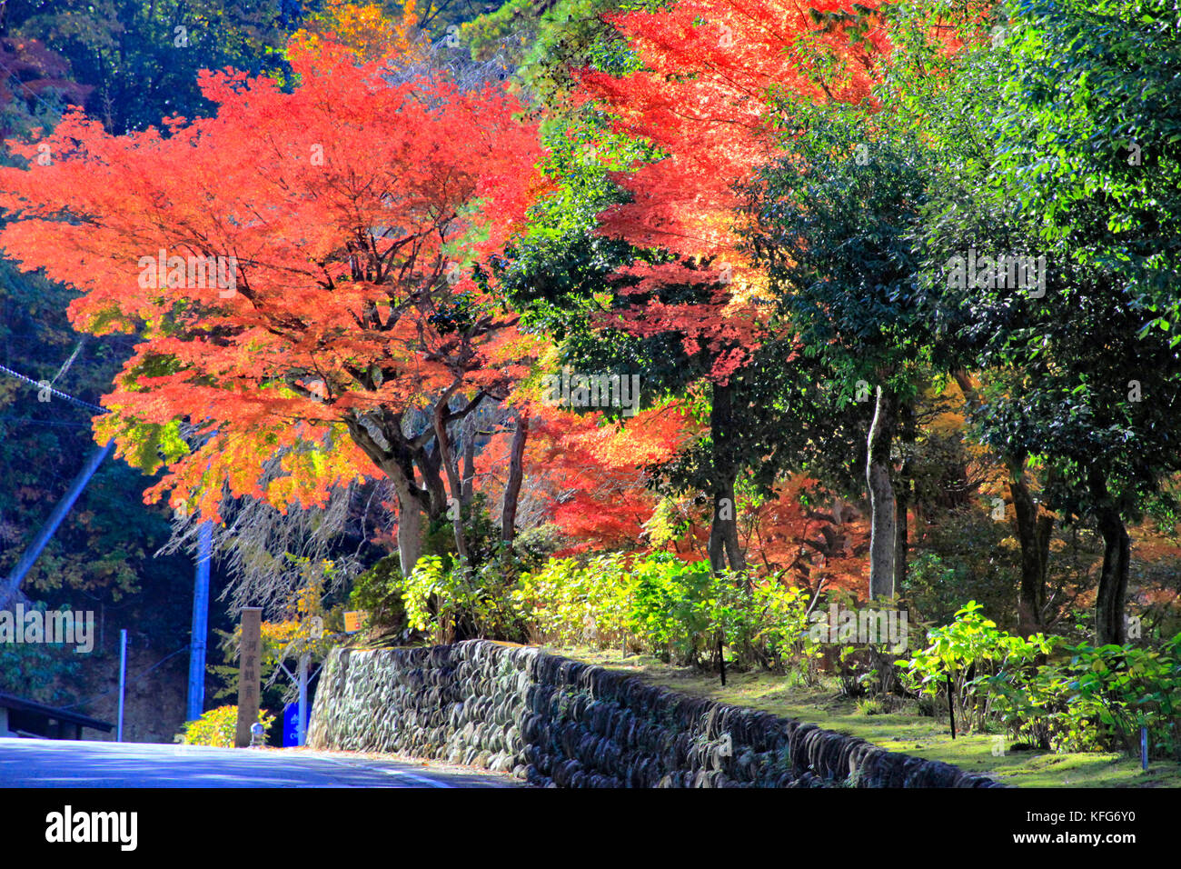 Autumn Color in Takasaki Kannon Area Gunma Japan Stock Photo - Alamy
