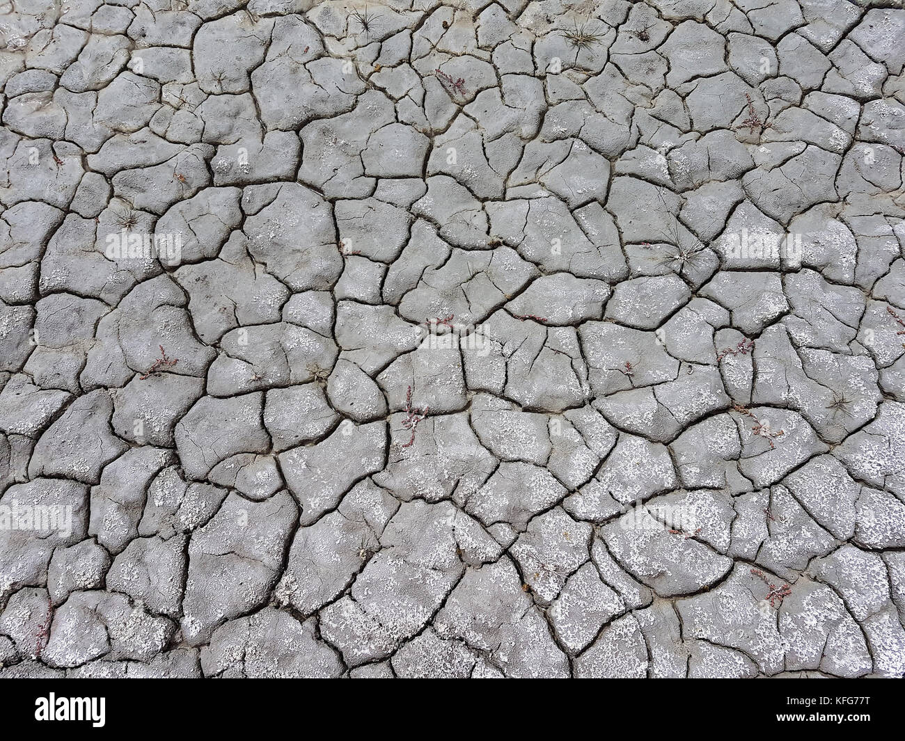 Desert, cracks in the dry gray earth Stock Photo - Alamy