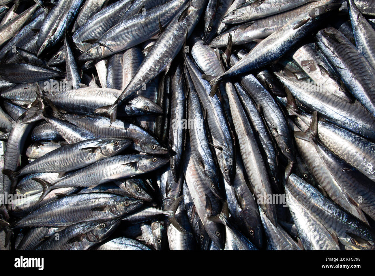 Shiitake mushroom and fish hi-res stock photography and images - Alamy