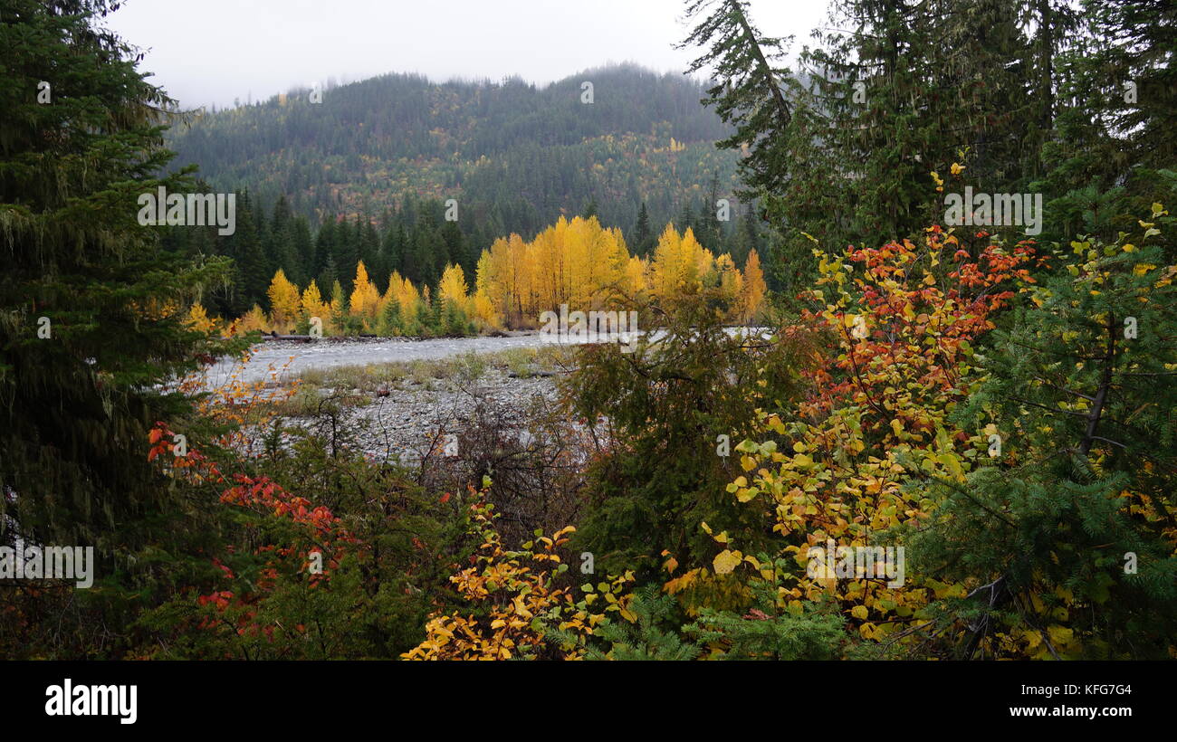 The Great Pacific Northwest Stock Photo - Alamy
