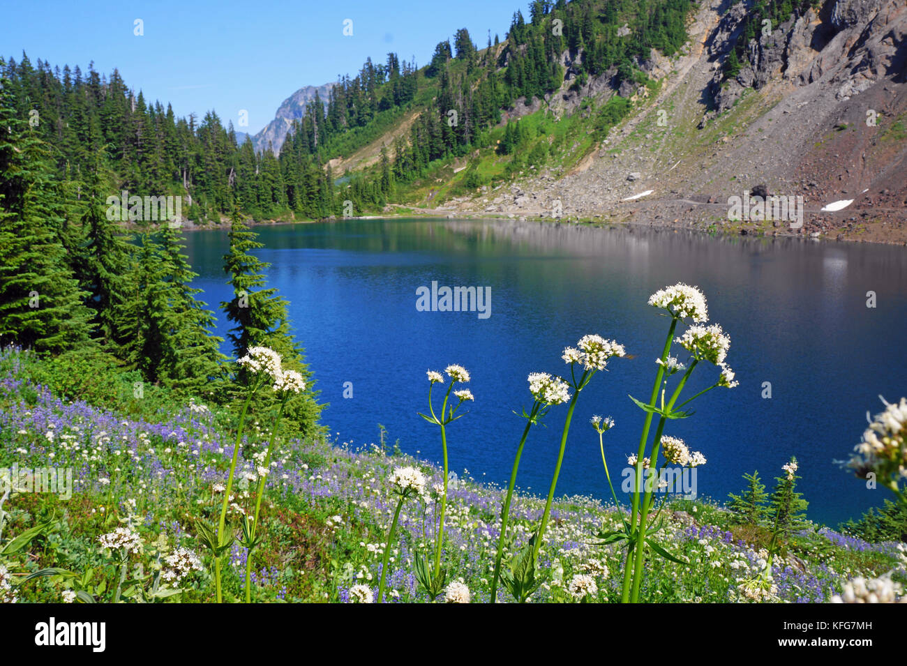 The Great Pacific Northwest Stock Photo - Alamy