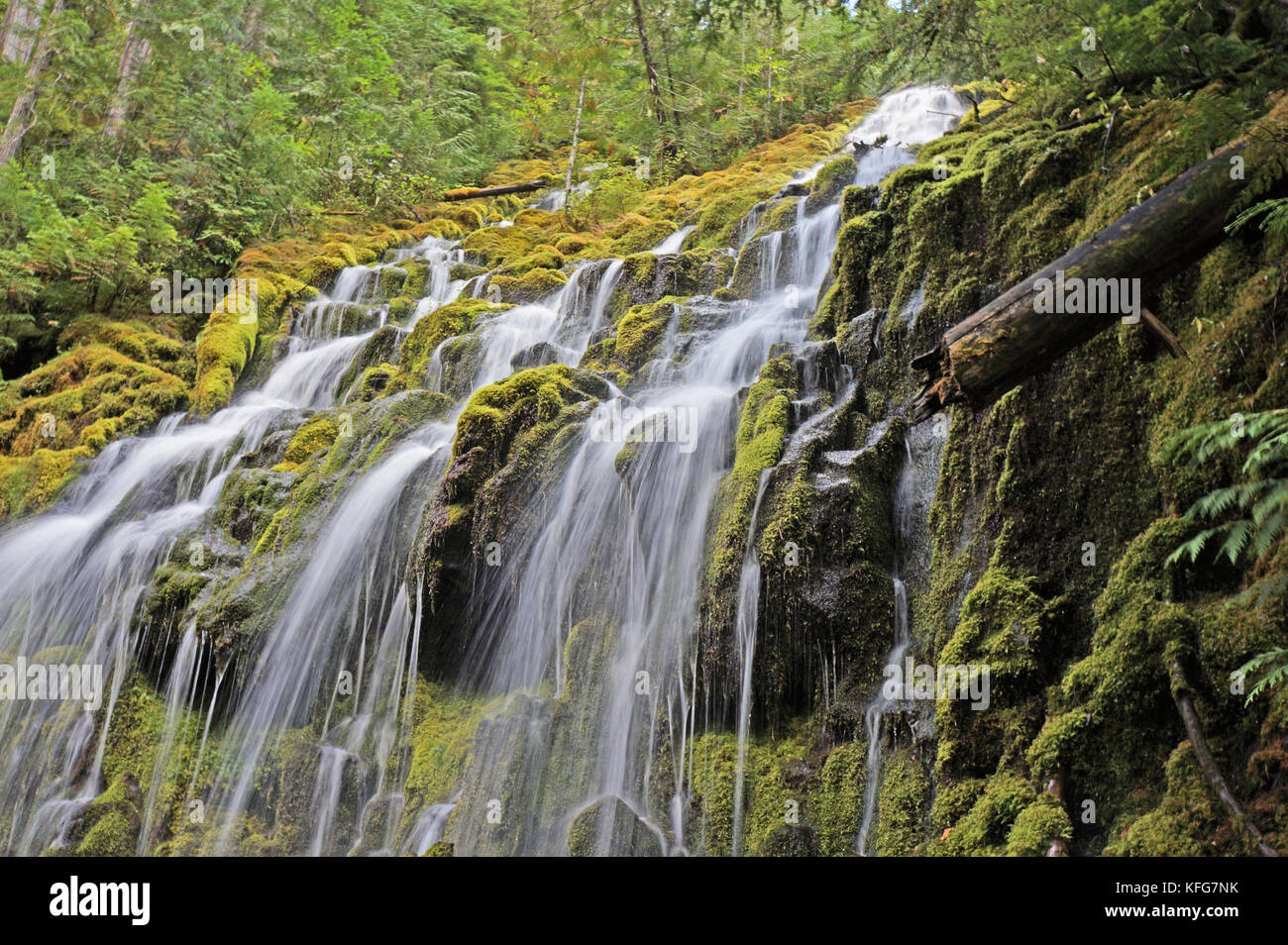 The Great Pacific Northwest Stock Photo - Alamy