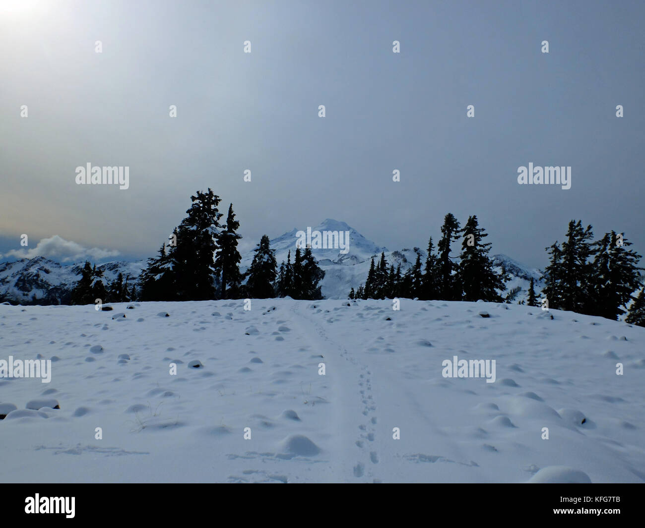 Hiking in the Pacific Northwest, Washington State Stock Photo - Alamy