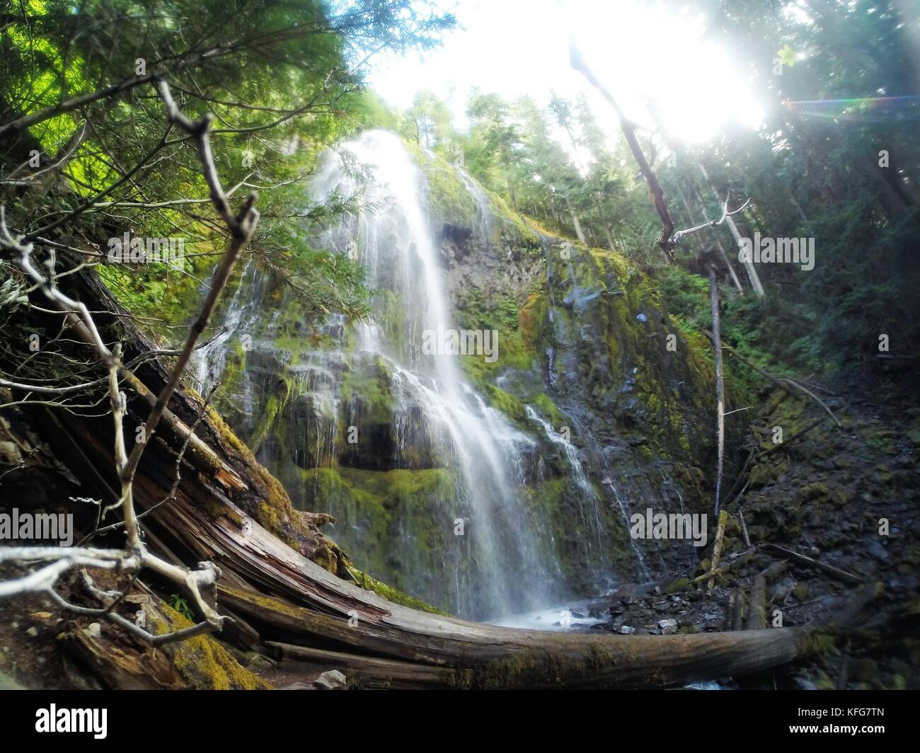 Hiking in the Pacific Northwest, Washington State Stock Photo - Alamy