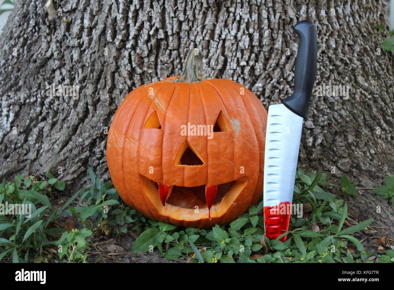 Pumpkin Carving With Fangs
