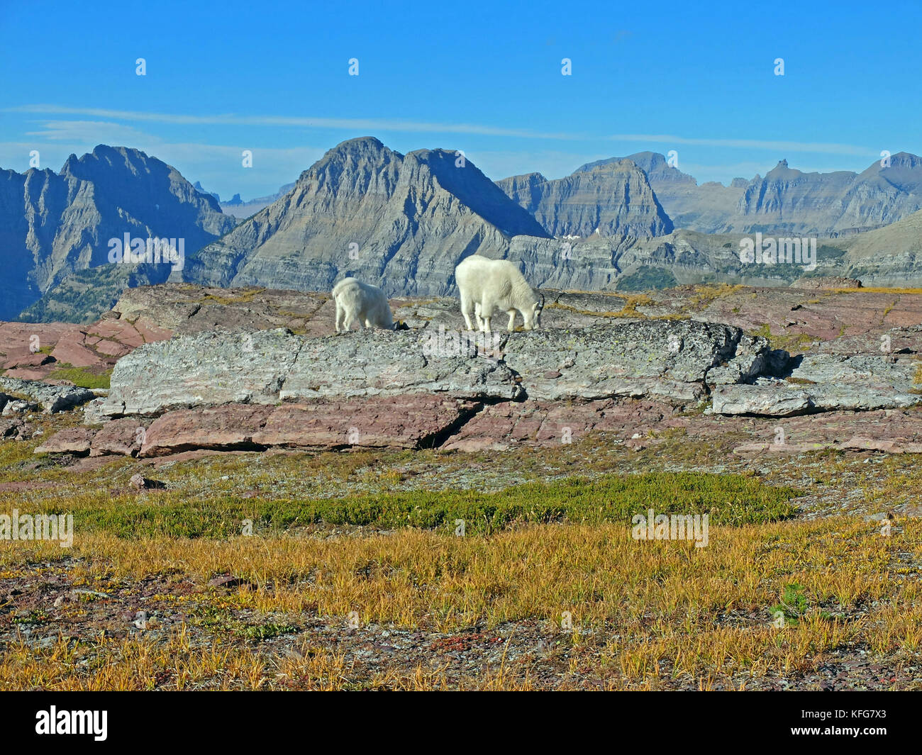 Hiking in the Pacific Northwest, Washington State Stock Photo - Alamy