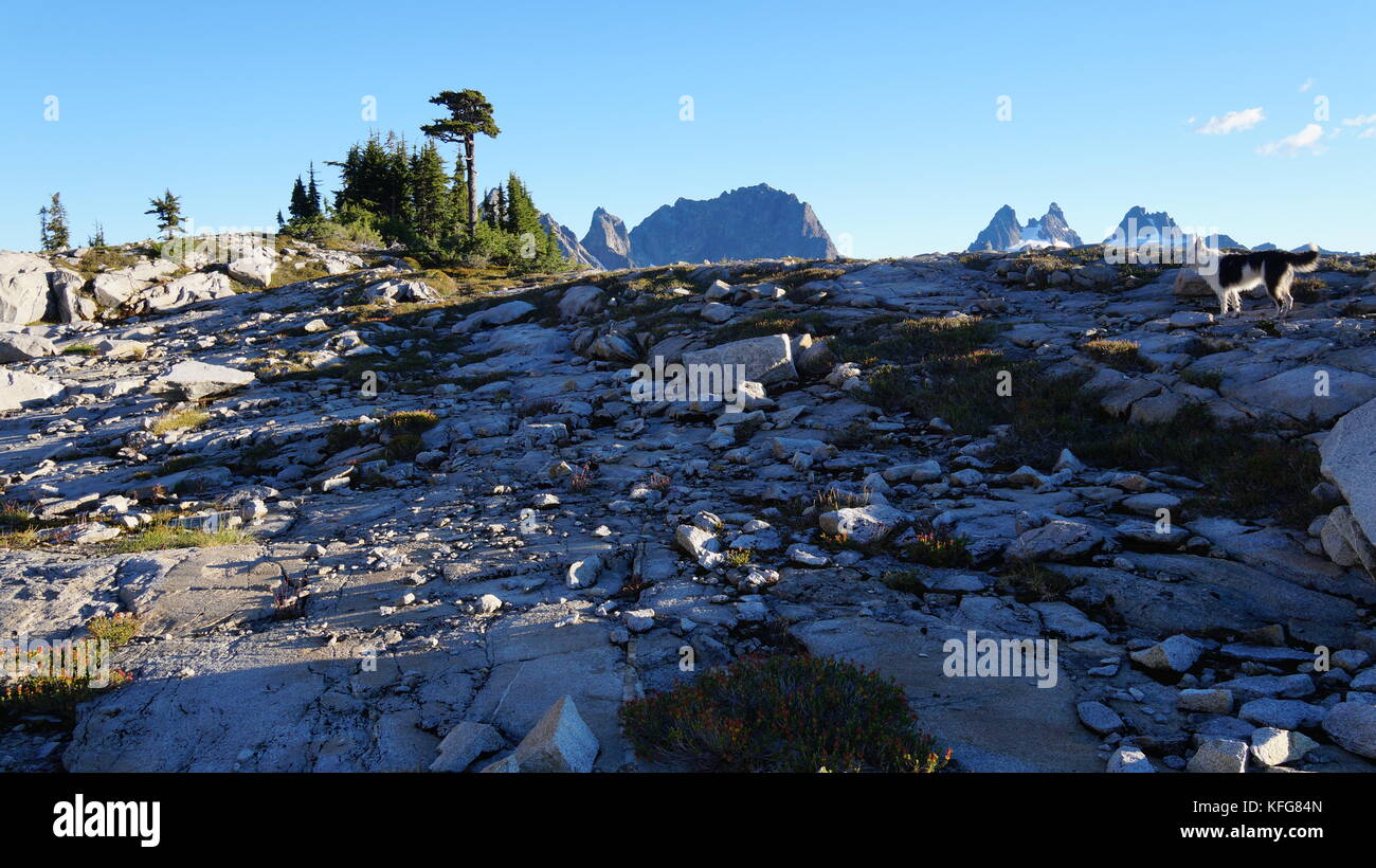 Hiking in the Pacific Northwest, Washington State Stock Photo - Alamy
