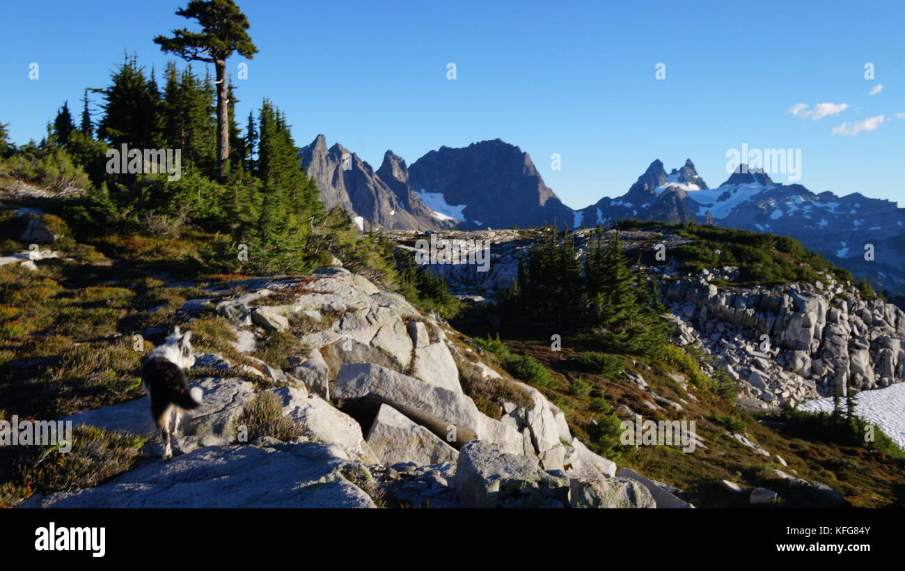 Hiking in the Pacific Northwest, Washington State Stock Photo - Alamy