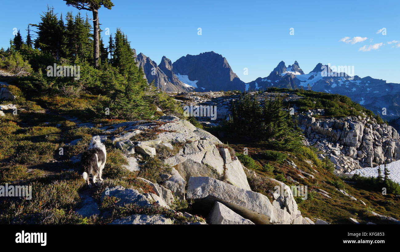 Hiking in the Pacific Northwest, Washington State Stock Photo - Alamy