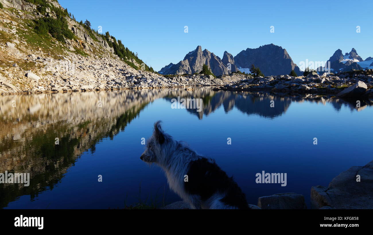 Hiking in the Pacific Northwest, Washington State Stock Photo - Alamy