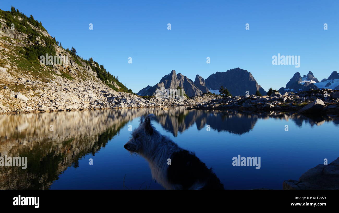 Hiking in the Pacific Northwest, Washington State Stock Photo - Alamy