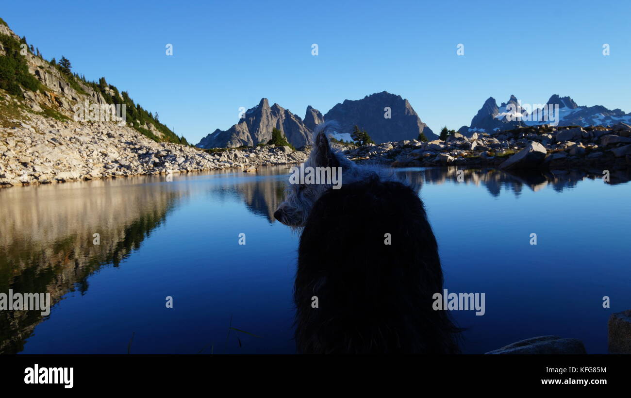 Hiking in the Pacific Northwest, Washington State Stock Photo - Alamy