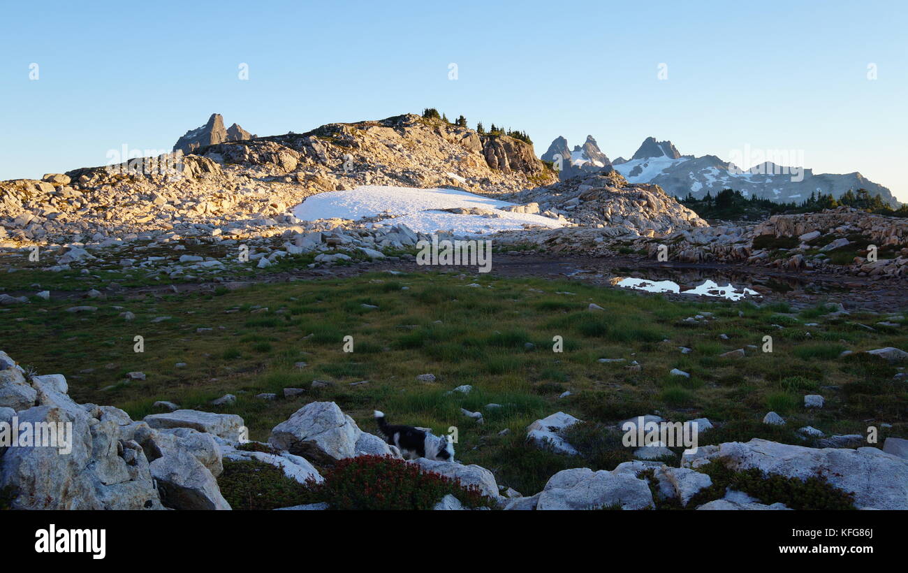 Hiking in the Pacific Northwest, Washington State Stock Photo - Alamy