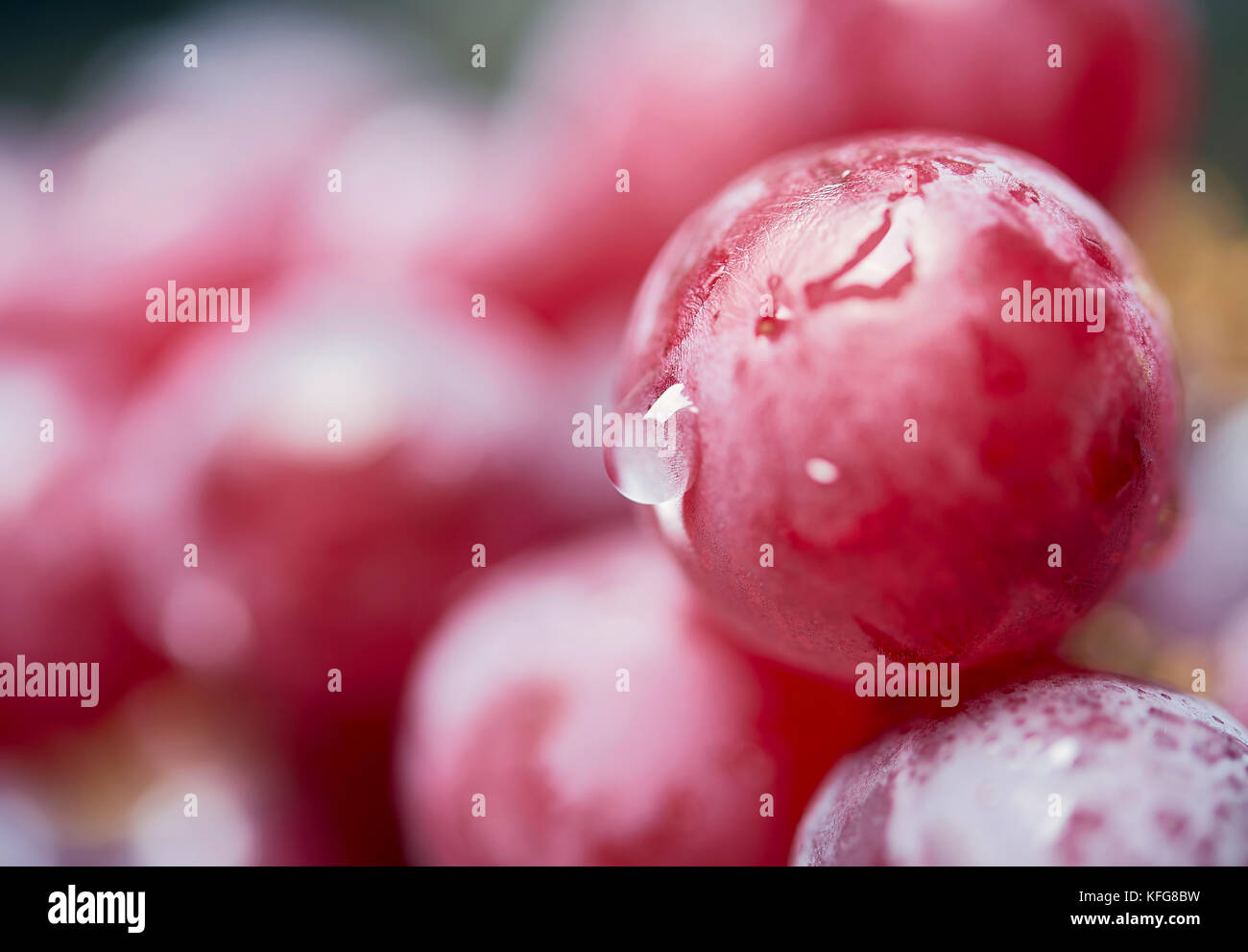 red grapes close up Stock Photo - Alamy