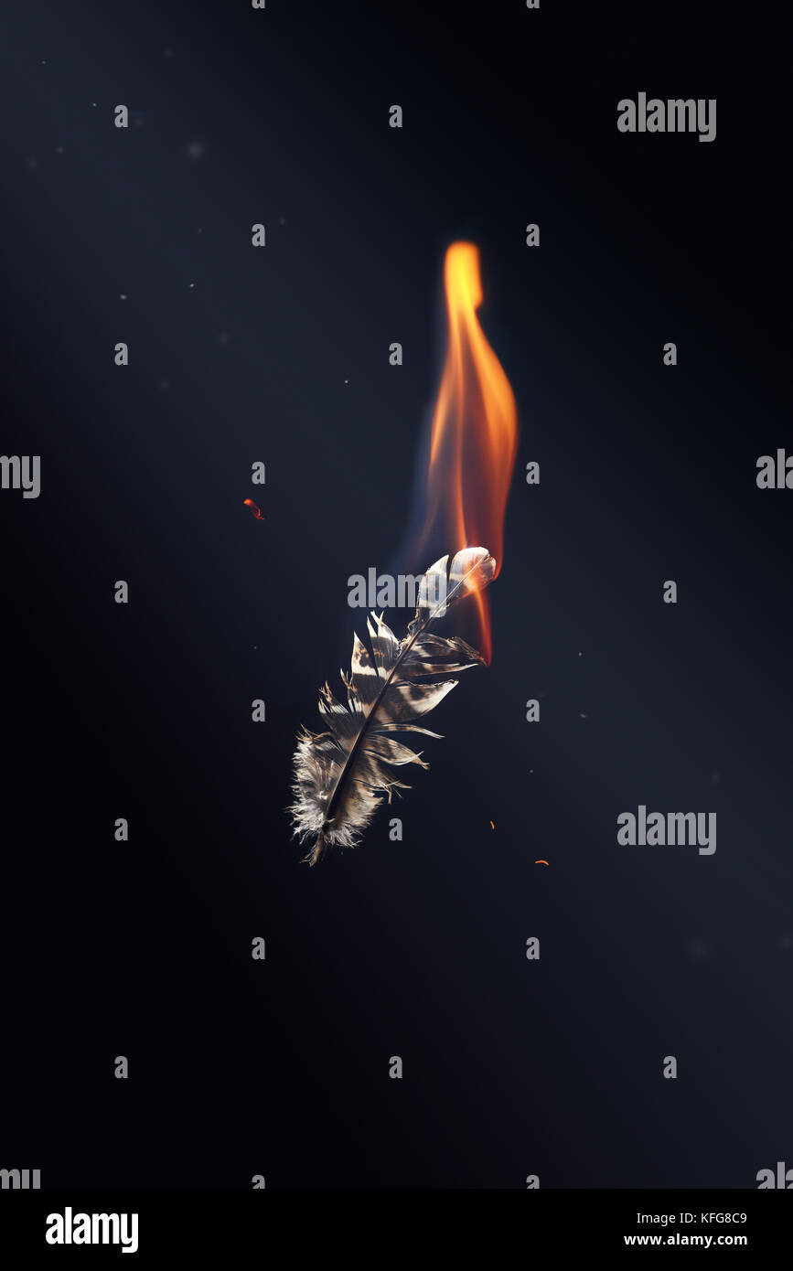 Flying feather burning in fire on dark background Stock Photo - Alamy