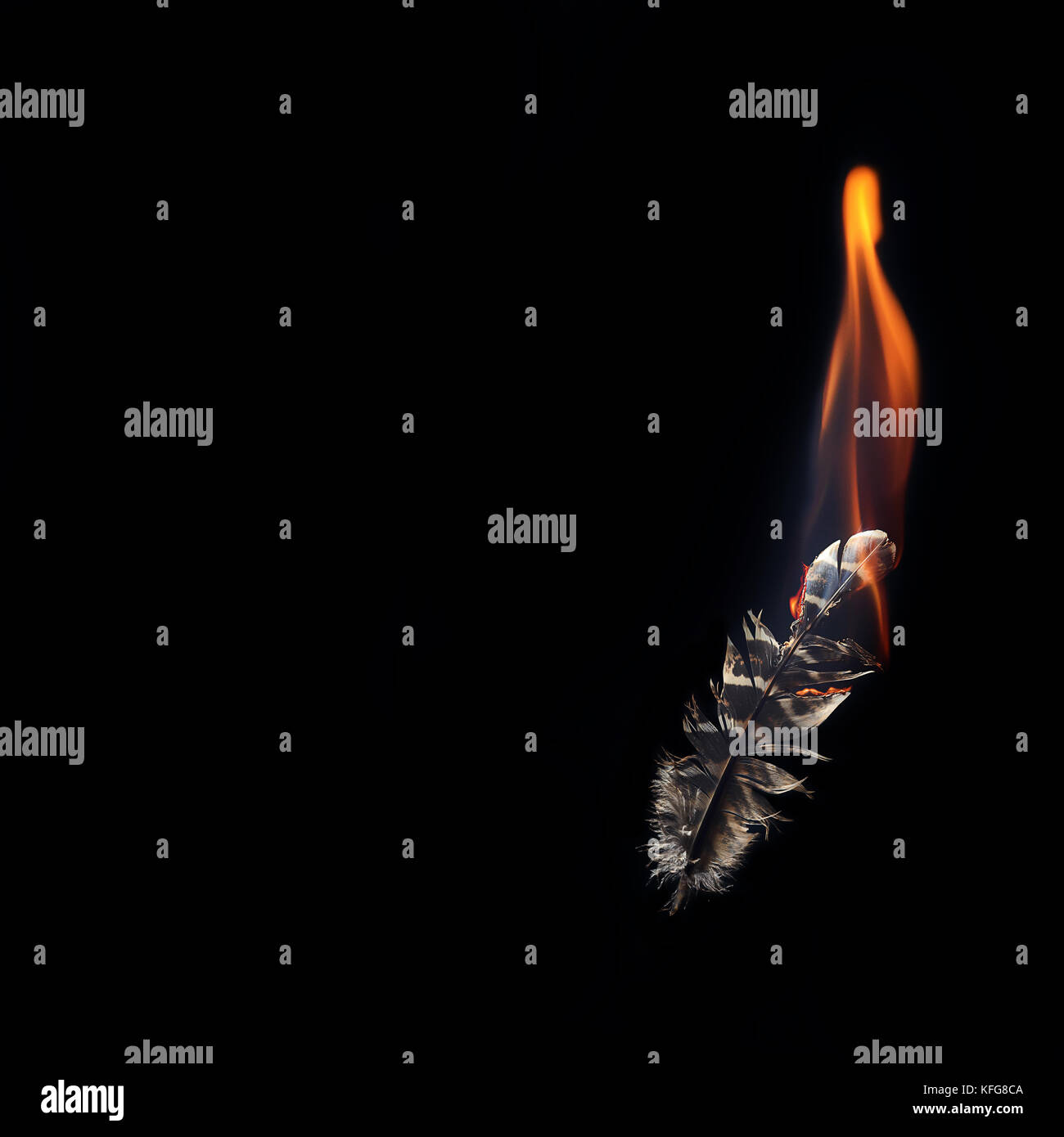 Flying feather burning in fire on dark background Stock Photo - Alamy