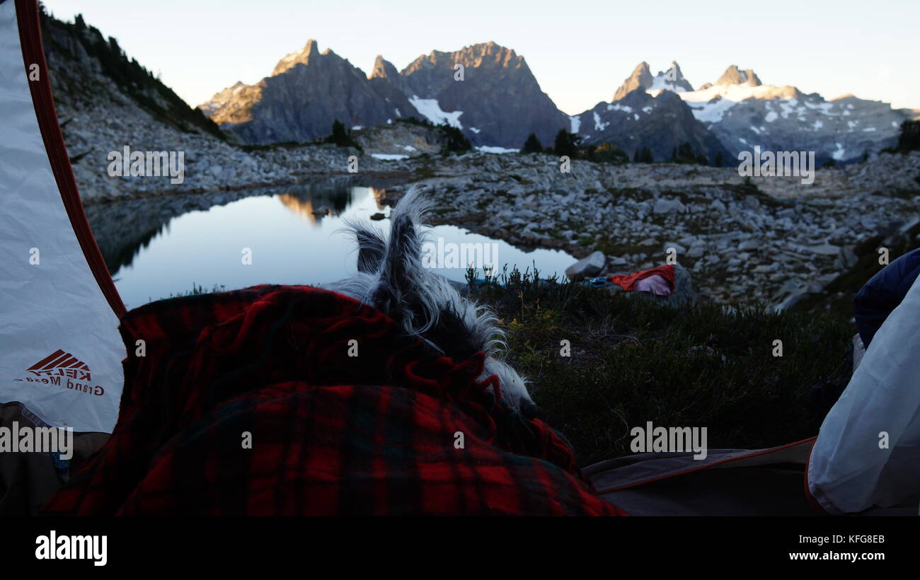 Hiking in the Pacific Northwest, Washington State Stock Photo - Alamy