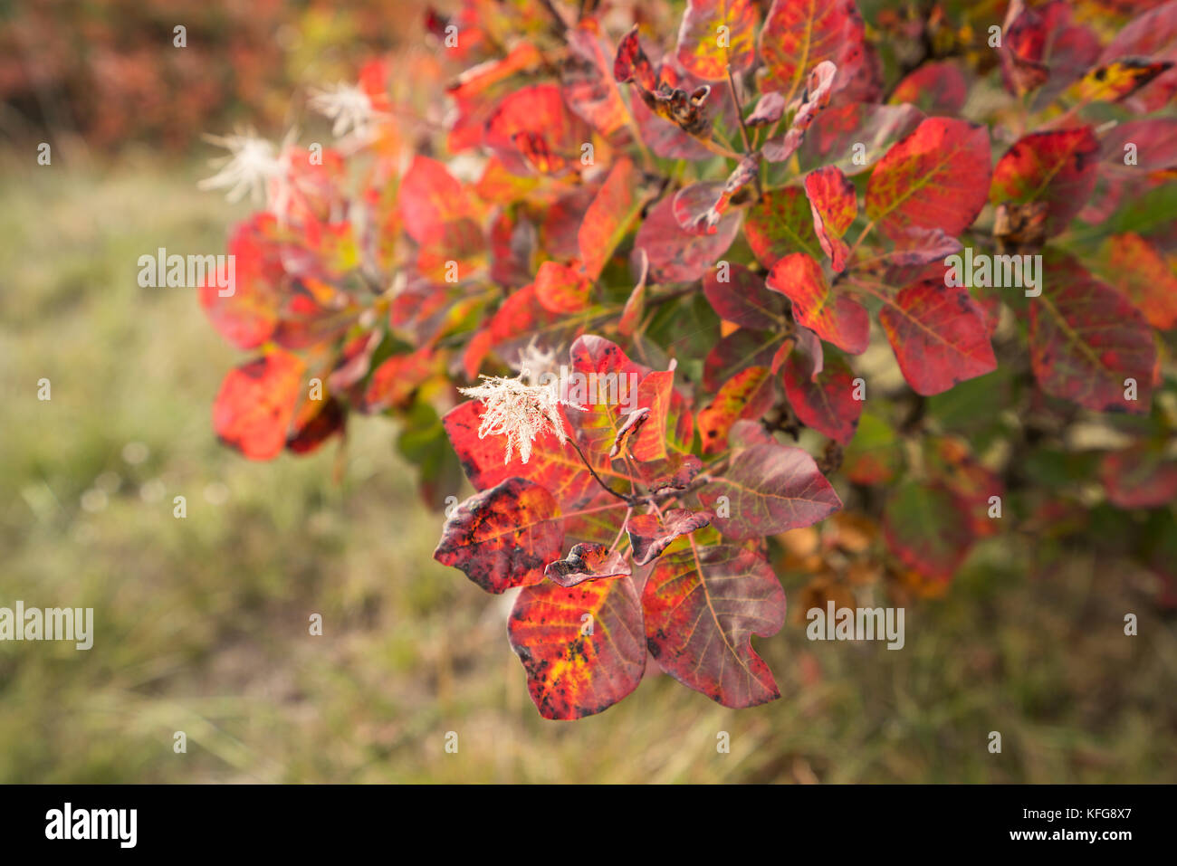 Natural karst hi-res stock photography and images - Alamy