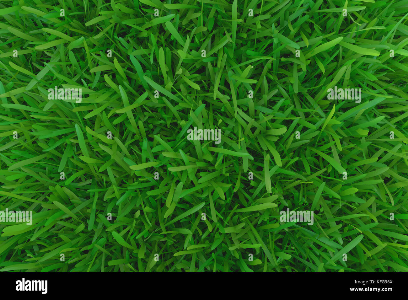 Green grass. background texture Stock Photo - Alamy