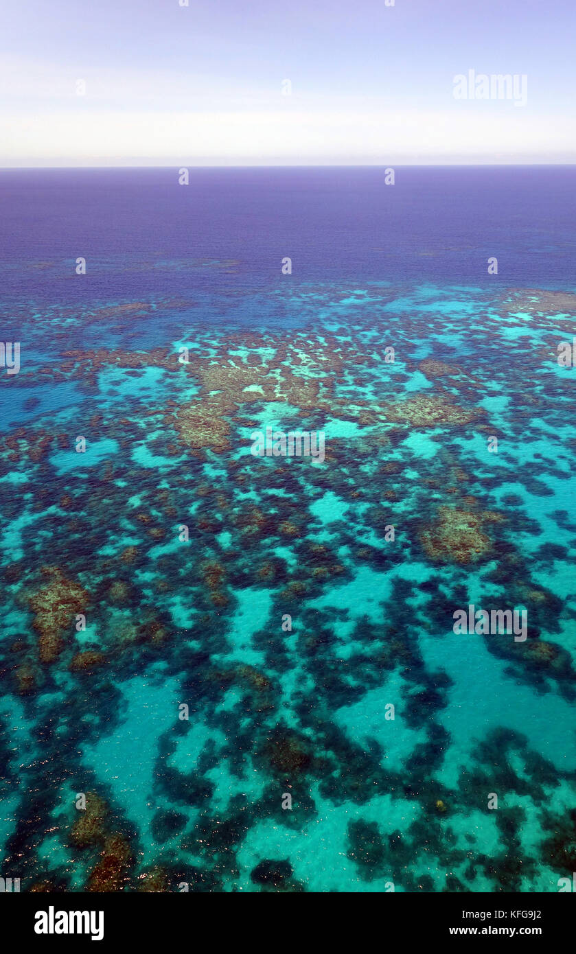 Aerial view of Thetford Reef, Great Barrier Reef, near Cairns ...