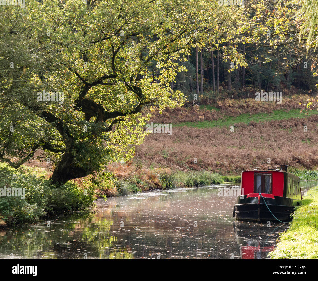 Staffs and Worcester Canal, near Kinver, Staffordshire, England, UK ...