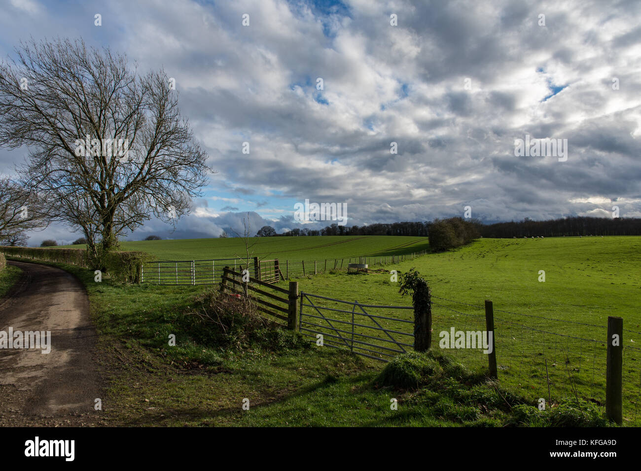 Typical spring scene hi-res stock photography and images - Alamy