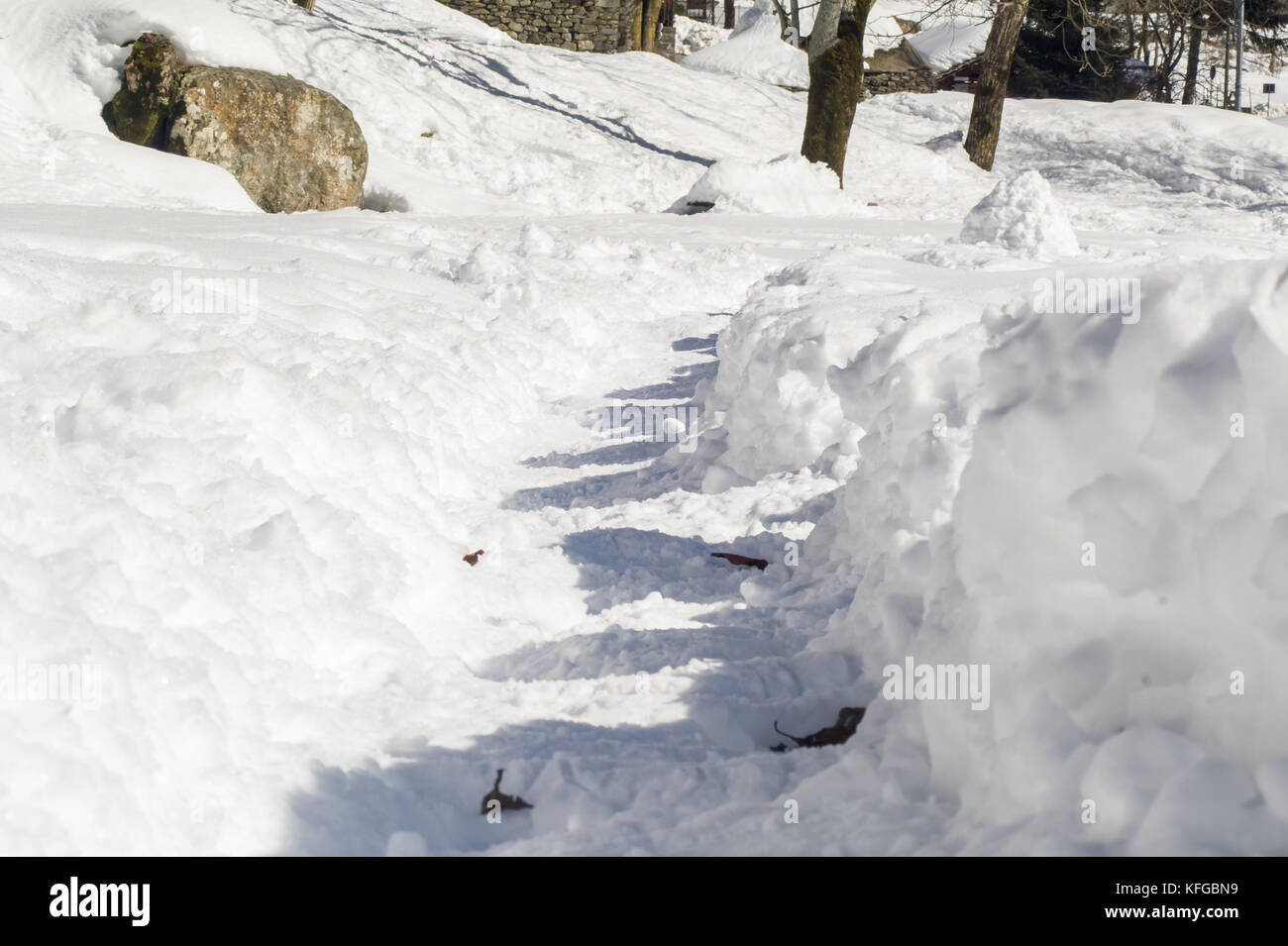 Alpine Trail after a snowfall in the morning, walk way covered by snow ...