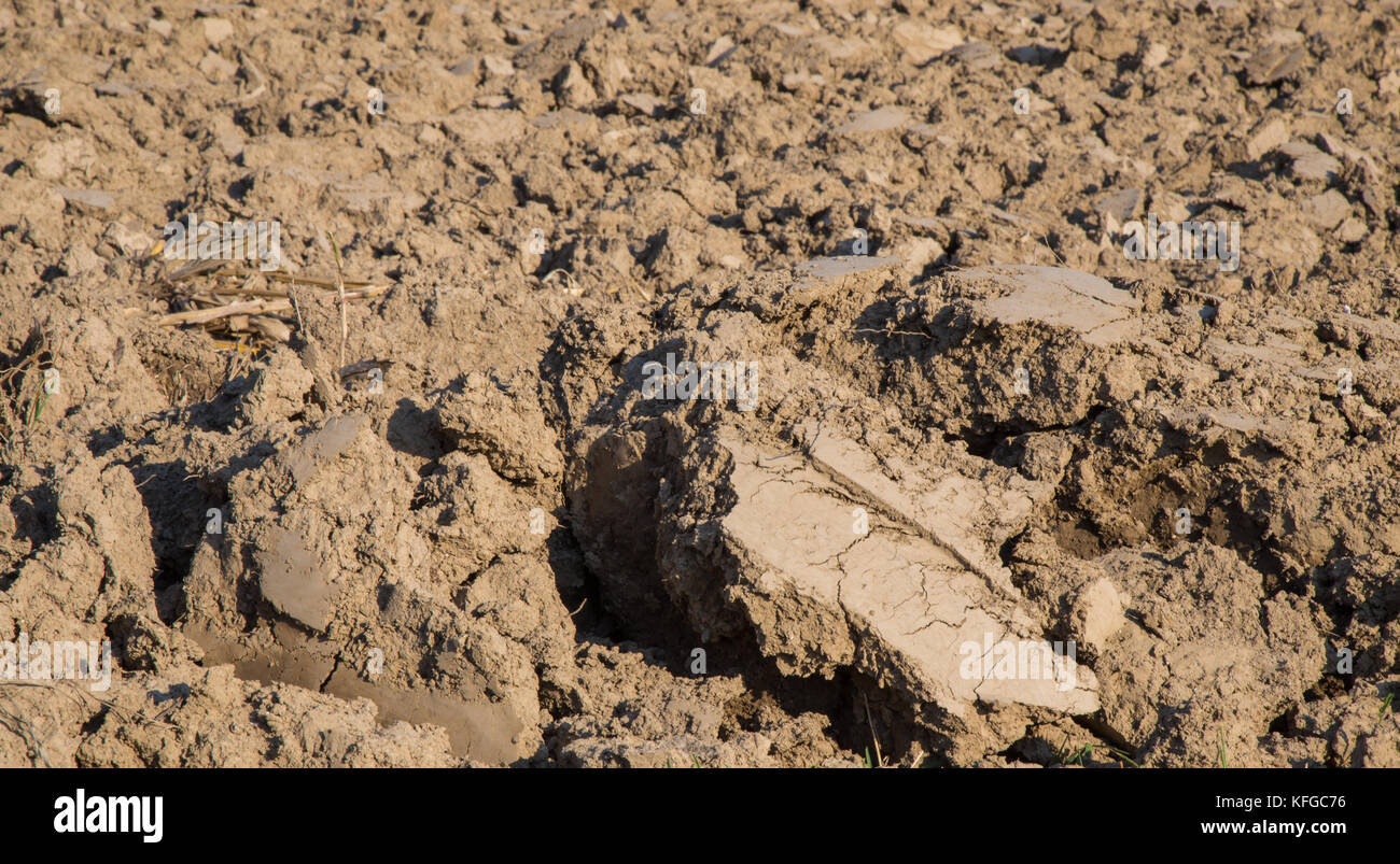 Clods Of Earth Stock Photos & Clods Of Earth Stock Images - Alamy
