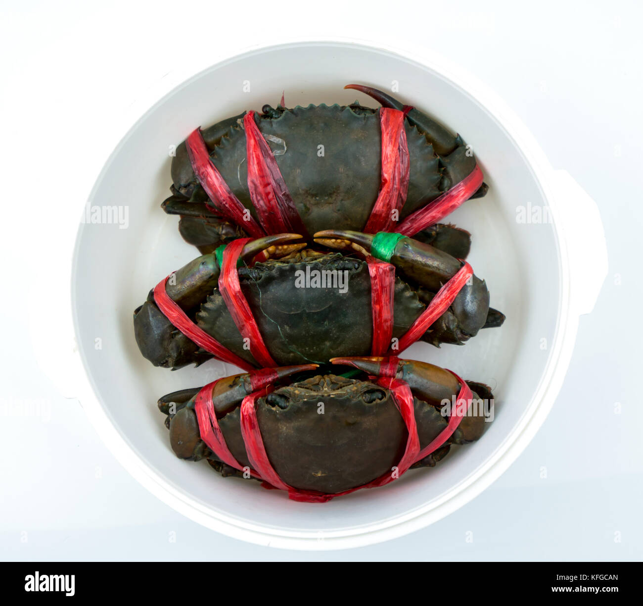 Container of crabs hi-res stock photography and images - Alamy