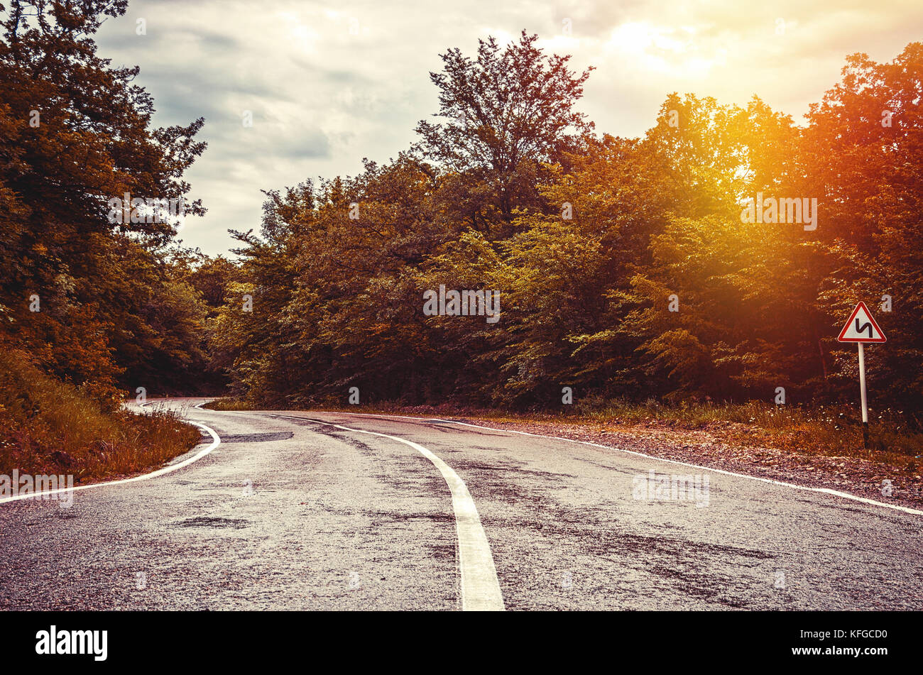 Forest road in sunset Stock Photo - Alamy