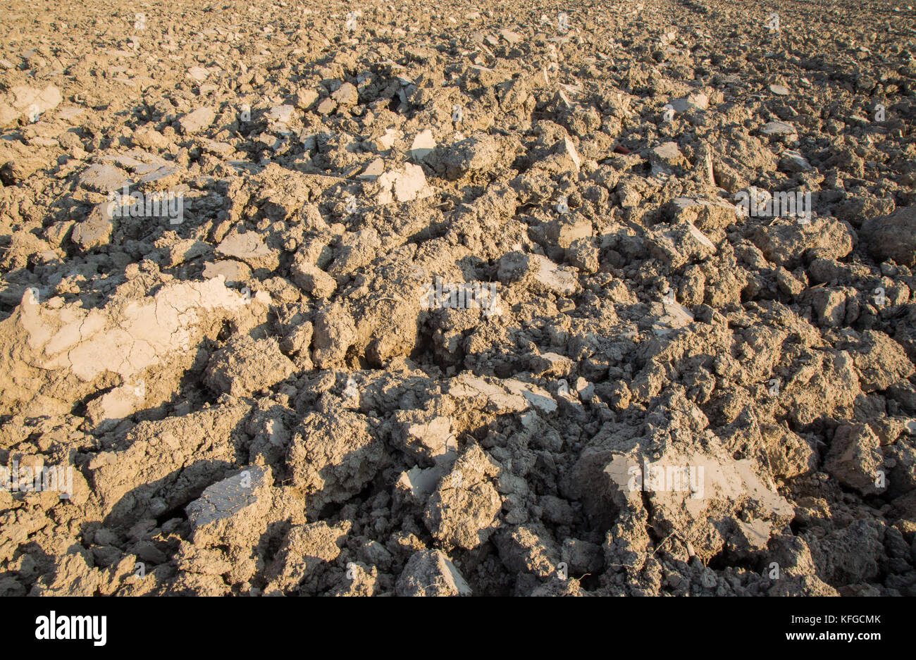 Clods of earth hi-res stock photography and images - Alamy