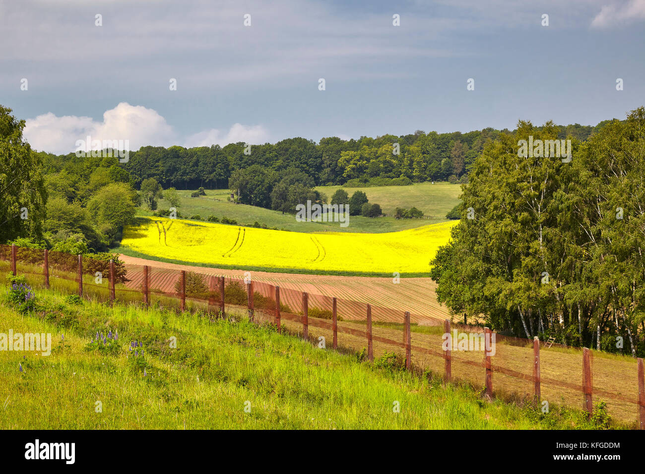 Steel mesh fence indicating former East German border in World War II ...