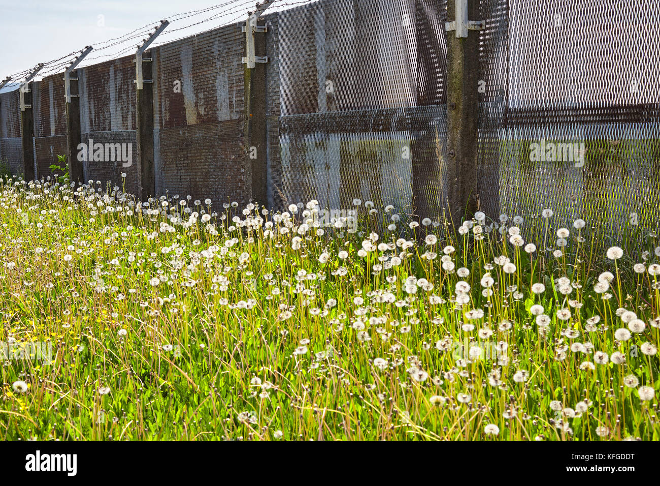 World war ii border hi-res stock photography and images - Alamy
