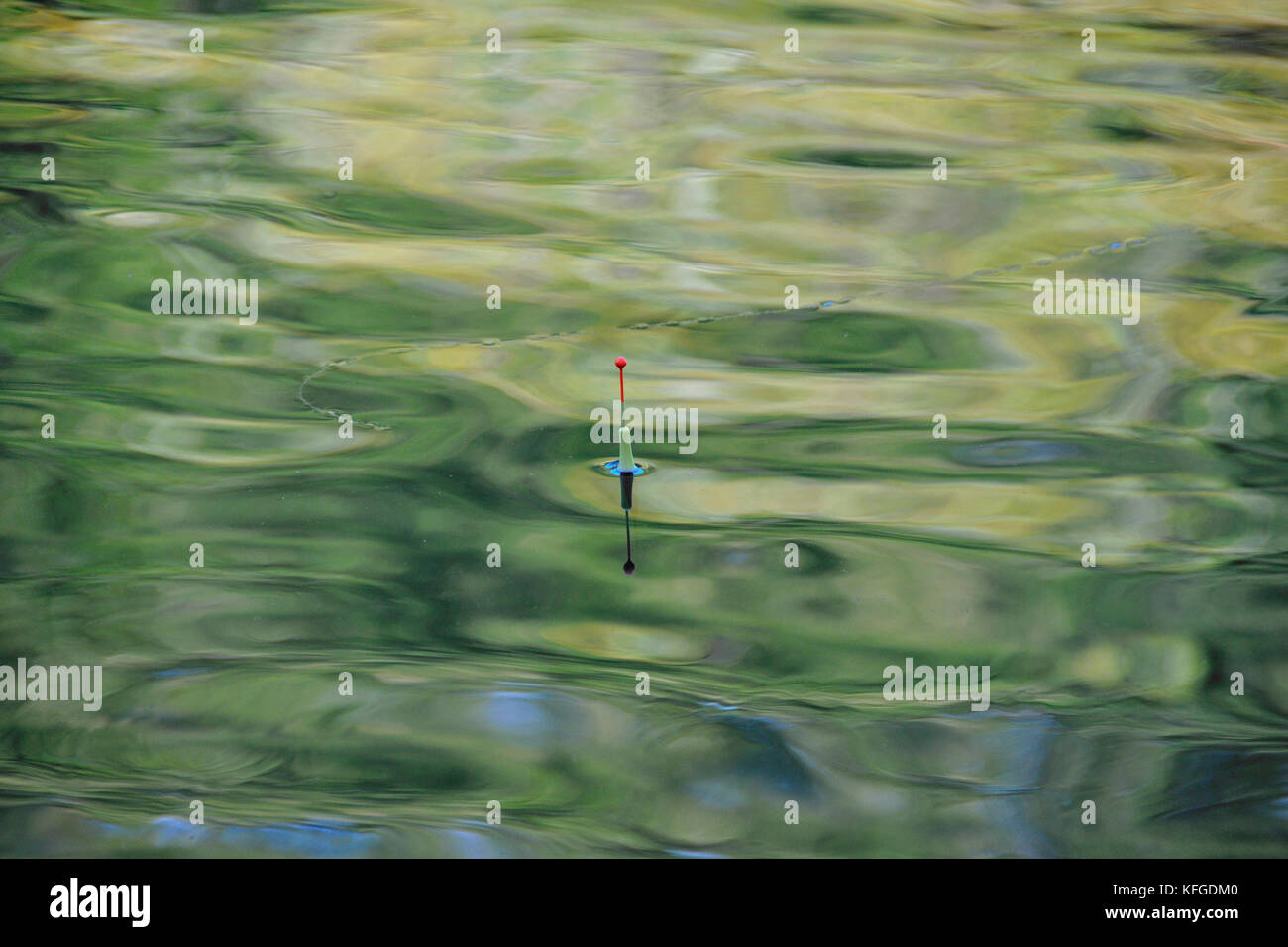 Floating reed leaves hi-res stock photography and images - Alamy