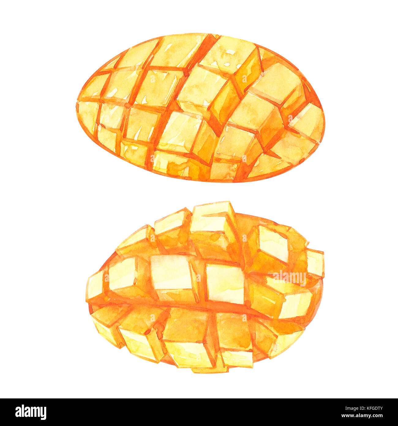 Mango cubes vintage design template. Watercolor botanical illustration ...