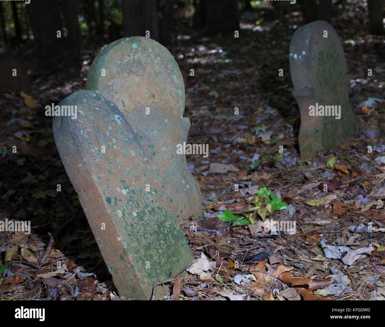 Grave Markers On Trees High Resolution Stock Photography and Images - Alamy
