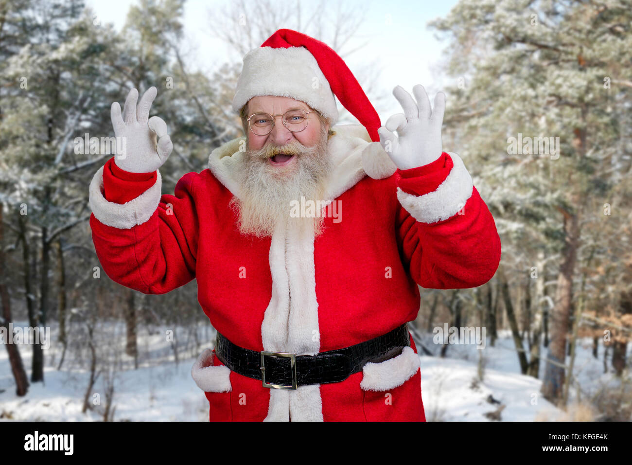 Santa Claus making ok sign with both hands. Portrait of happy Santa ...