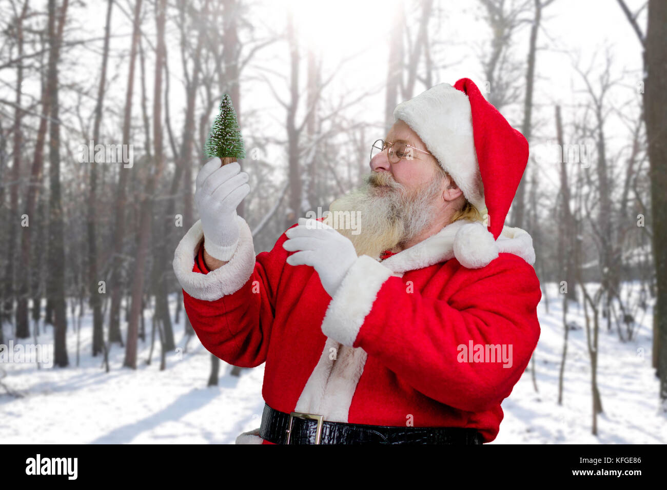 Santa Claus holding little spruce outdoors. Little artificial Chritmas ...