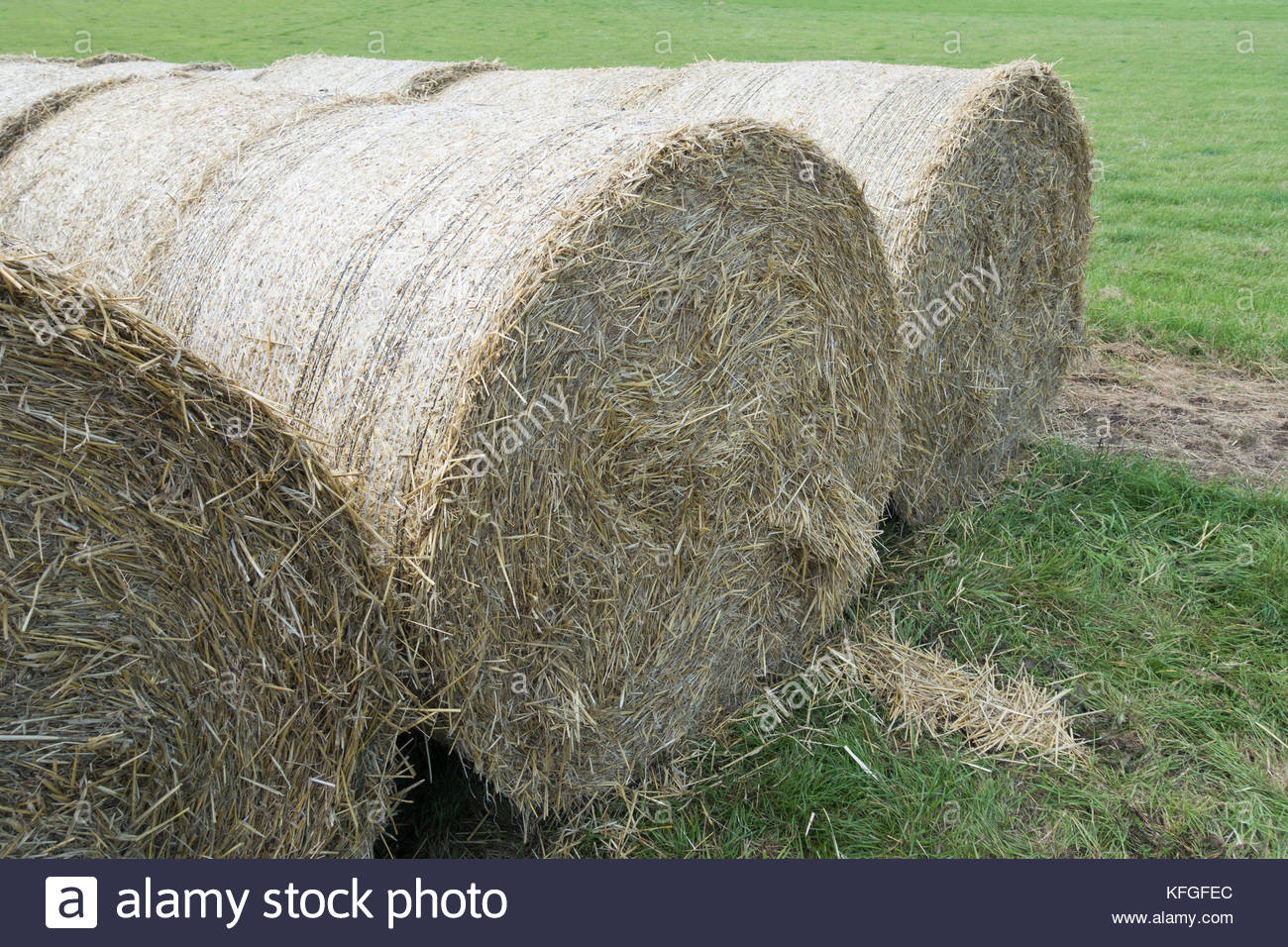 Rolls Of Round Bales Stock Photos & Rolls Of Round Bales Stock Images ...