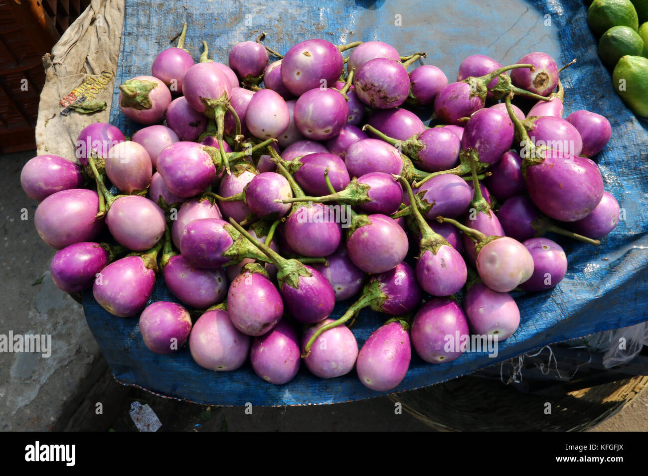 Brinjal color hi-res stock photography and images - Alamy