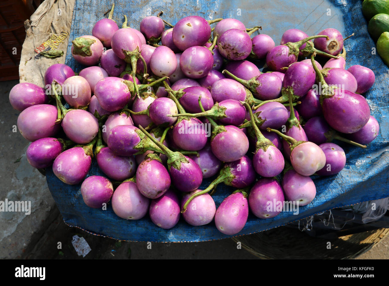 Brinjal color hi-res stock photography and images - Alamy