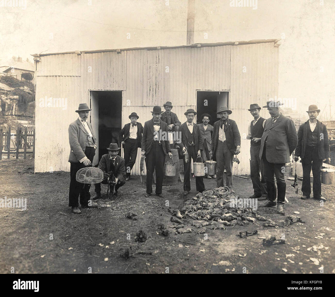 Professional rat-catchers behind a pile of dead rats, during the ...