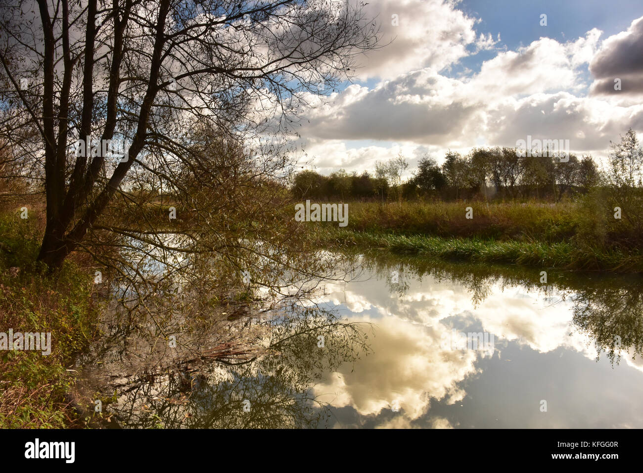 River Thames Landscape near Lechlade, Wiltshire, England, on the Thames ...