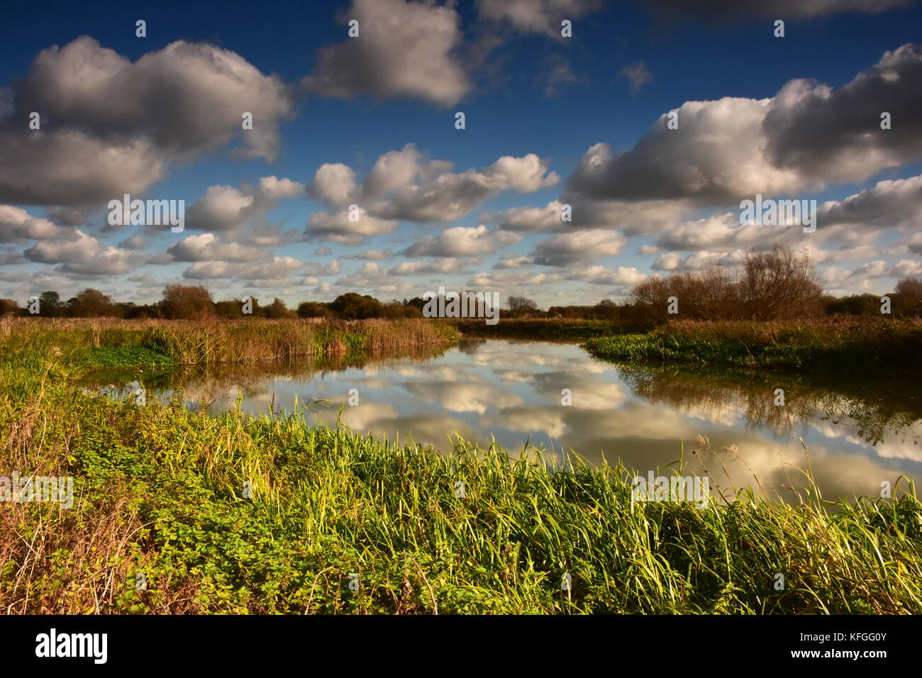 River Thames Landscape near Lechlade, Wiltshire, England, on the Thames ...