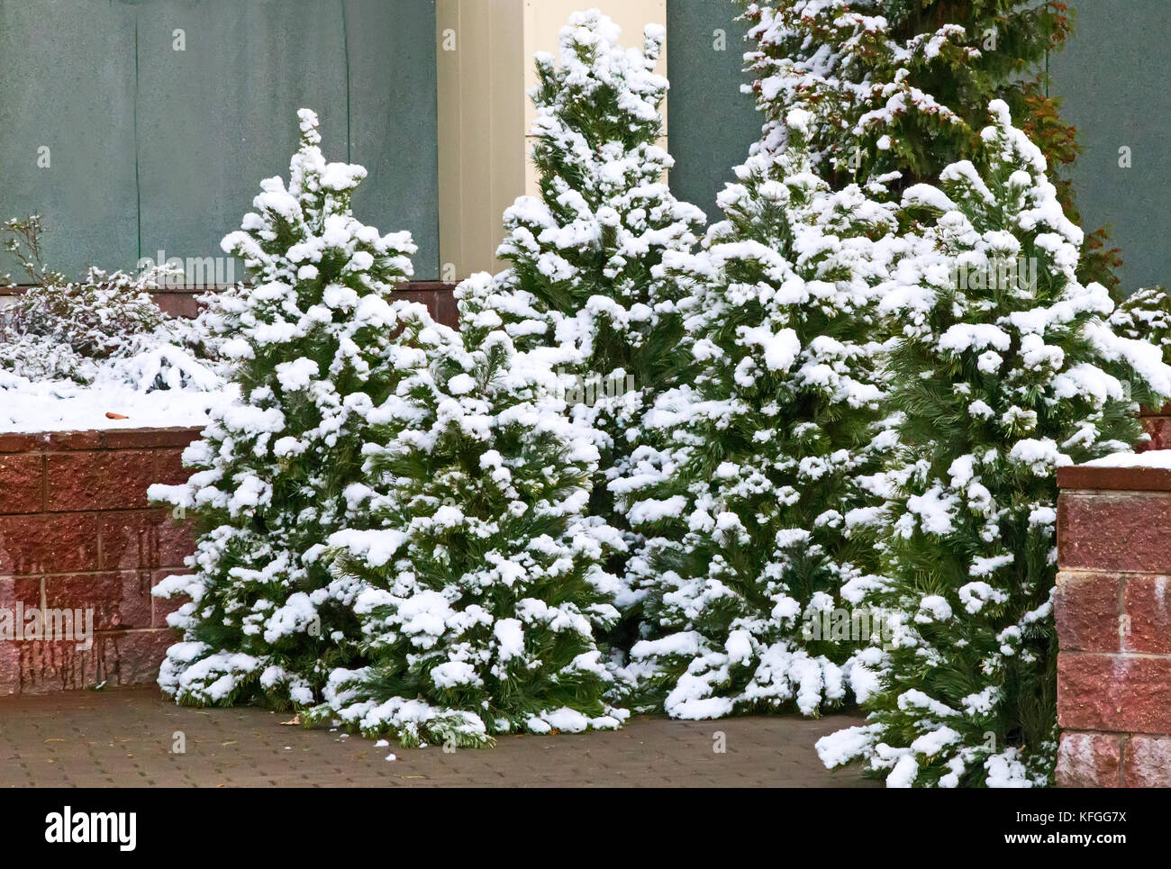In the Park on the ground and the trees lies the snow. Reference ...