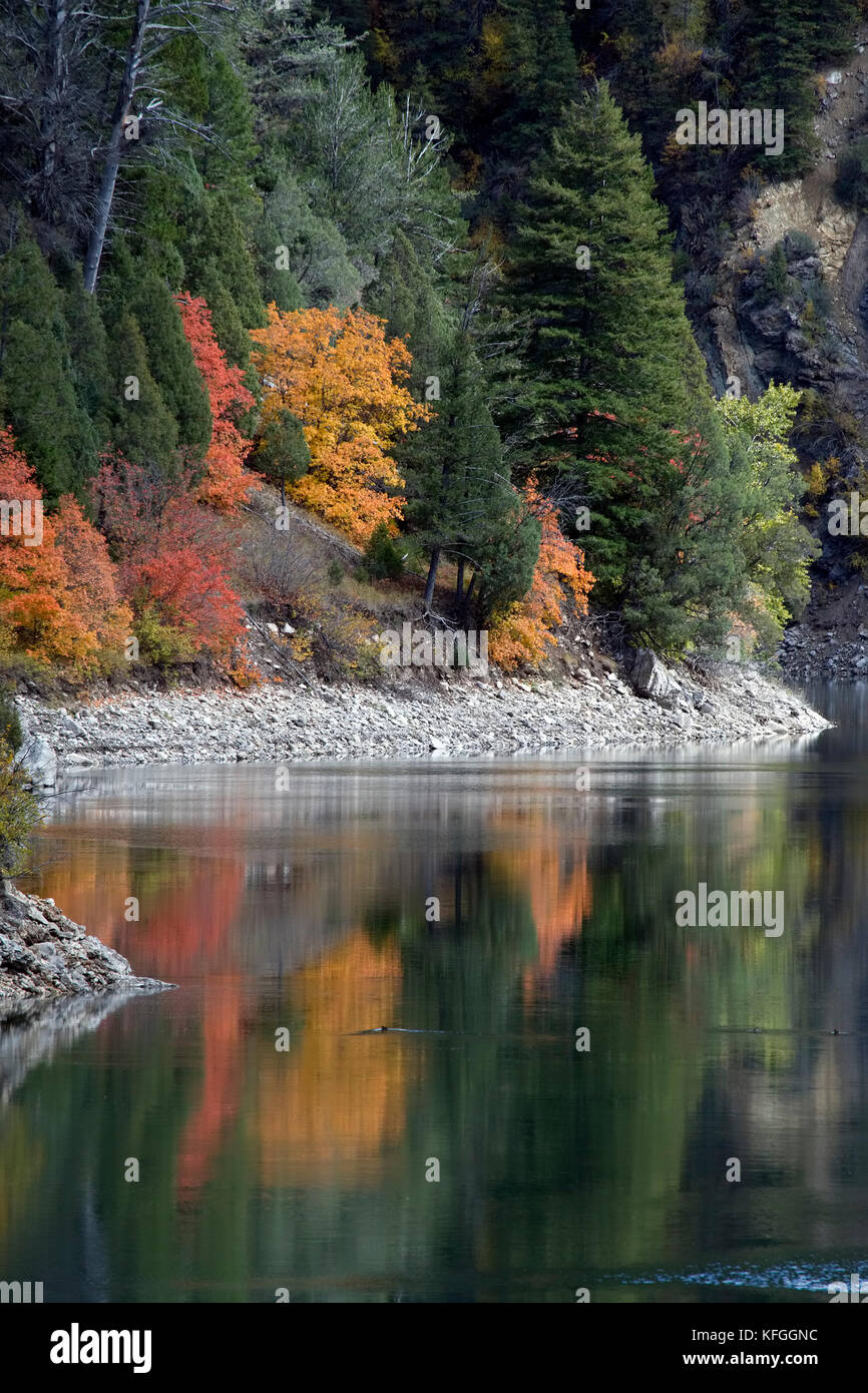 Fall Color along River Stock Photo - Alamy