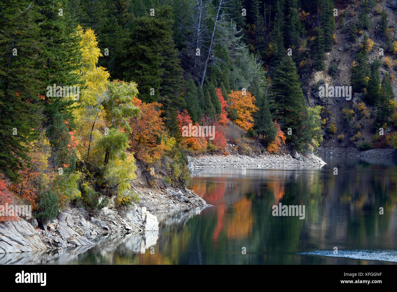 Fall Color along River Stock Photo - Alamy